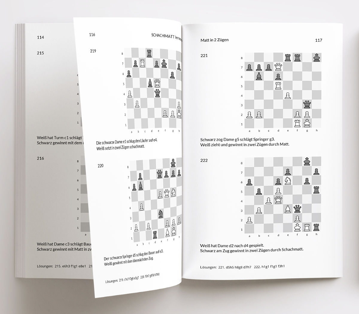 Schachmatt lernen